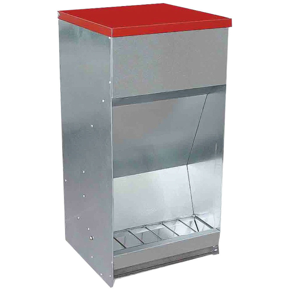 Automatic Poultry Feeder AVI-FEED – Programmable Feeder for Chickens ...