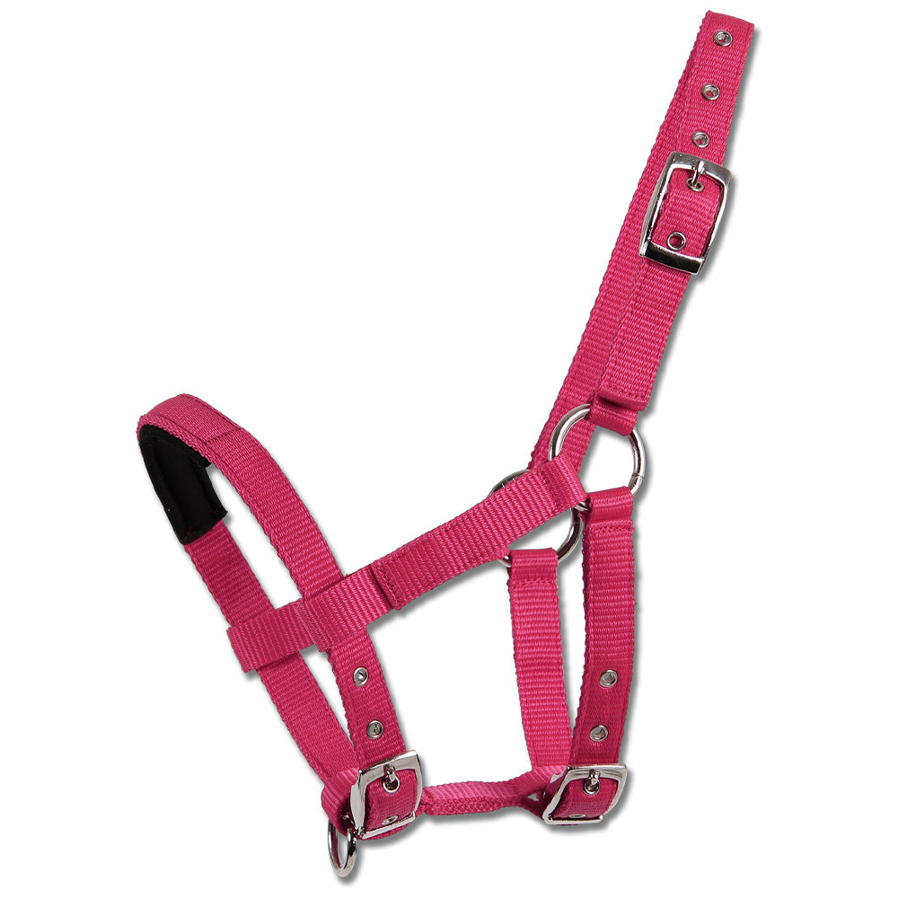 Mini Shetty Red Halter - Perfect for Small Horses and Ponies – agritura